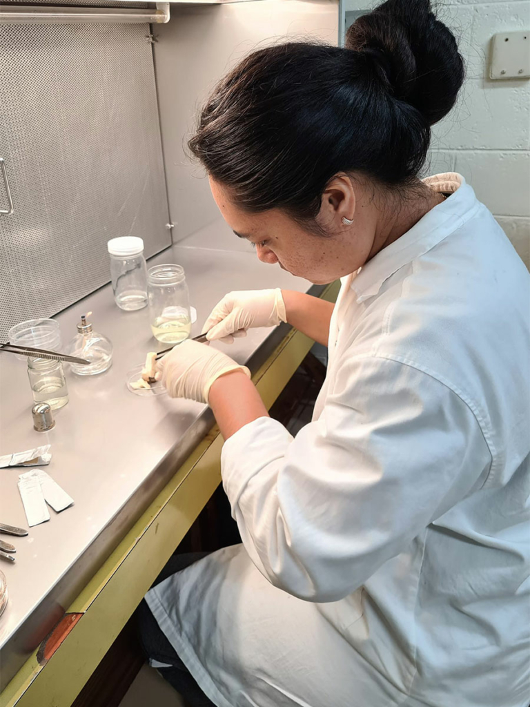 Home - The University of the South Pacific | Careers